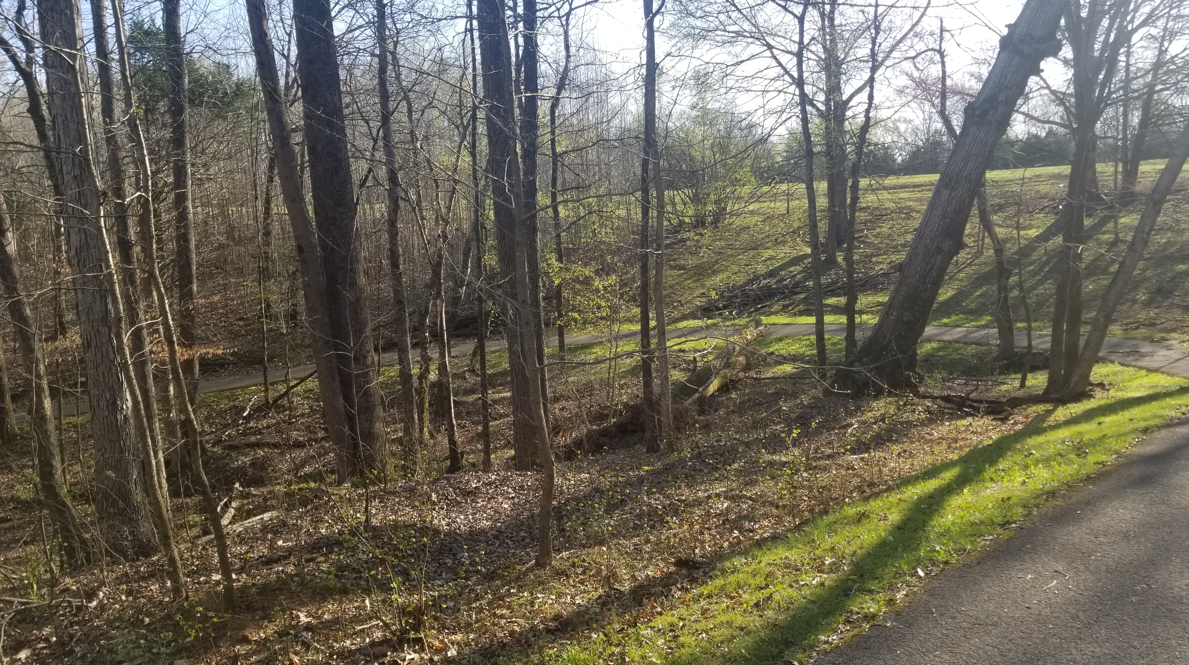 Travis Hollow Bridge Trail- Tims Ford State Park {Tennessee} | Grand ...