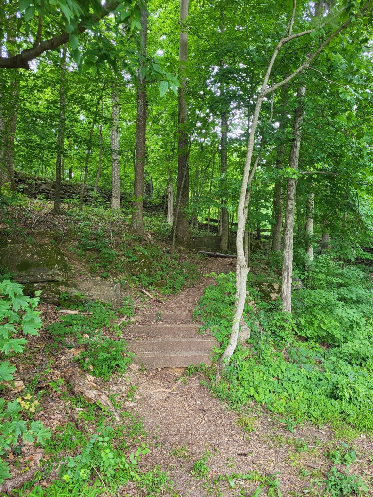 Visiting Dunbar Cave State Park {Tennessee} | Grand Misadventures