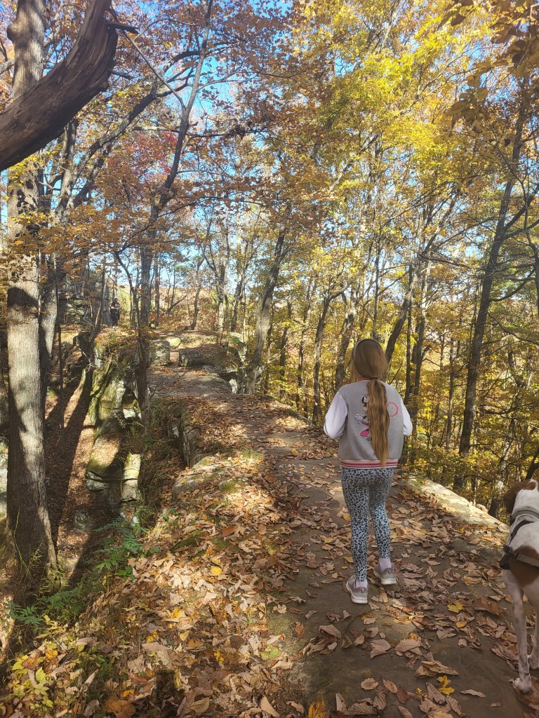 Discovering Head of the Crow State Park in Tennessee